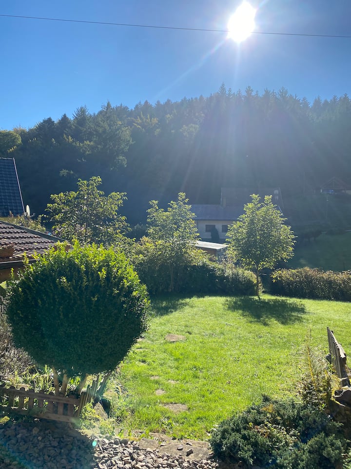 Maison De Campagne Familiale - Schirmeck
