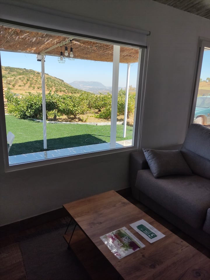 Casa La Viña - El Gastor