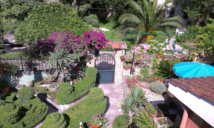 City Garden - Kotor