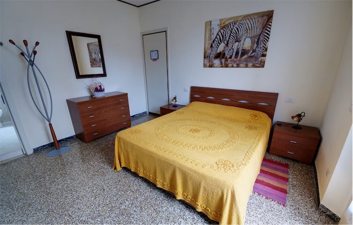 Residenza Il Cactus  1 - Lucca