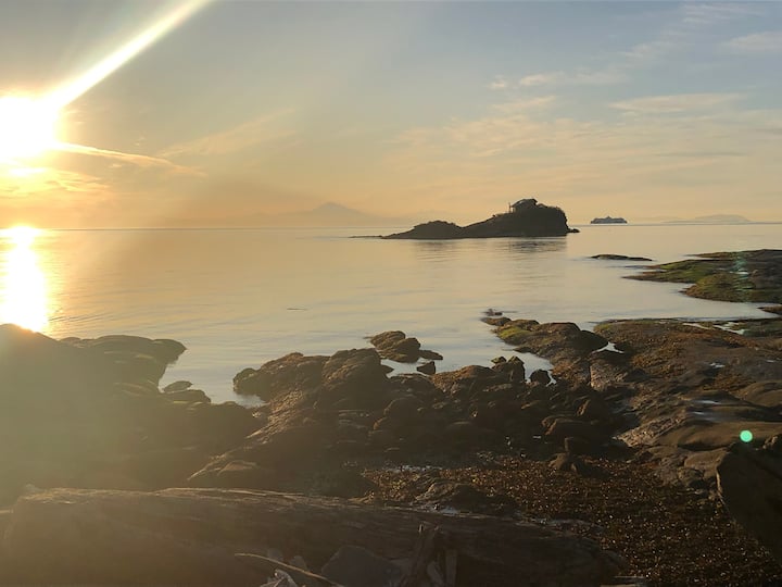 Salt Oceanfront Cottage! - Galiano Island