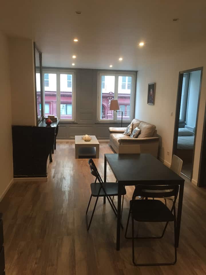 Joli F3 à 1 Min à Pied De La Place Stan - Laxou