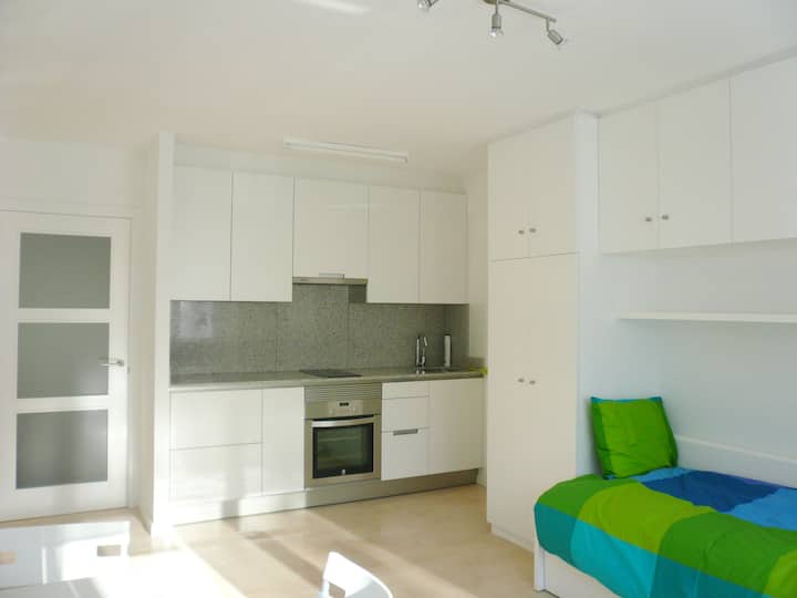 Lumineux Et Confortable Studio - Ames
