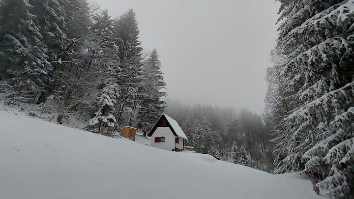 Romantic Eco Forest Cabin, Sauna, Hike, Bike - Slovenia
