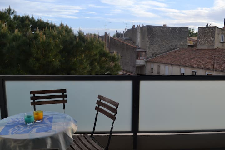 Lumineux F3 Centre Ville De Montpellier. - Parc de Lunaret - Zoo de Montpellier