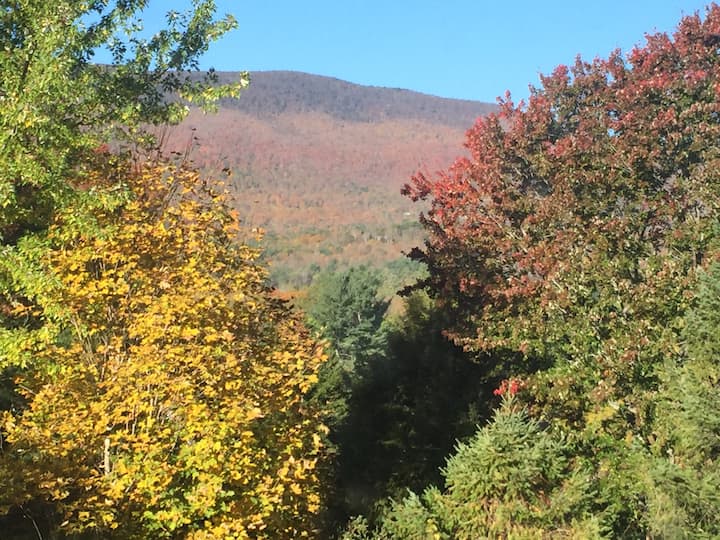 Manchester Townhouse With Great Views! - Manchester, VT