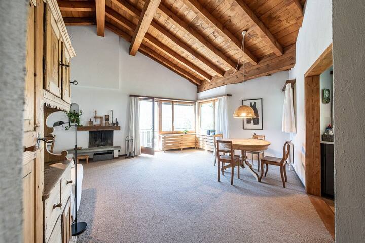 Mira Piz Mundaun, (Sagogn), 70004, 3 Room Apartment - ラア