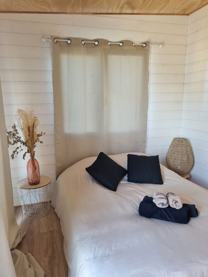 La Campagne En Ville - Carnac