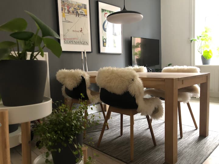 Danish "Hygge" - Centrally Located - Copenhaguen