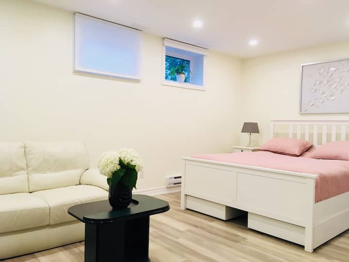 Brand New Lower-level Studio In Toronto - Mississauga