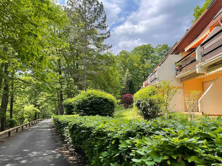 Studio De Vacances En Alsace - Obernai