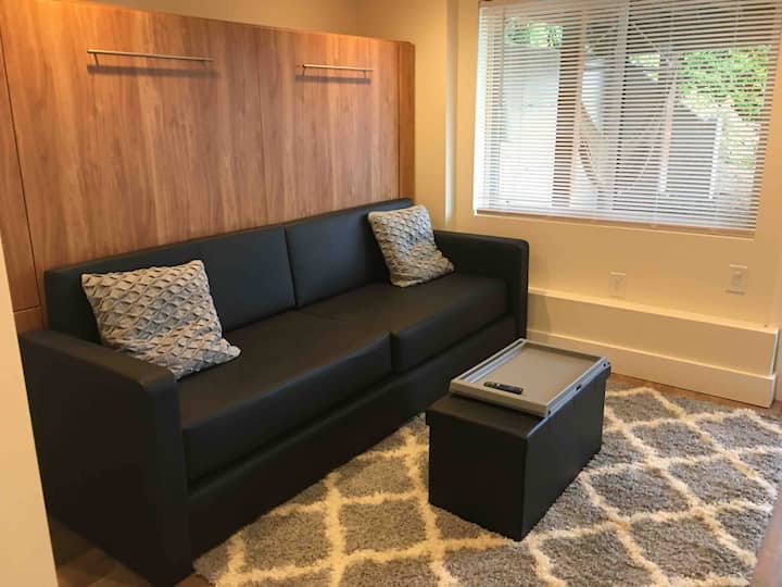 Striking Studio With Lake Washington Views; - Seattle, WA