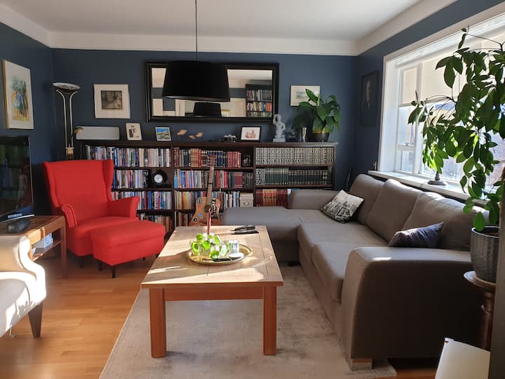 ÍBúð Miðsvæðis í Reykjavík - Reykjavik