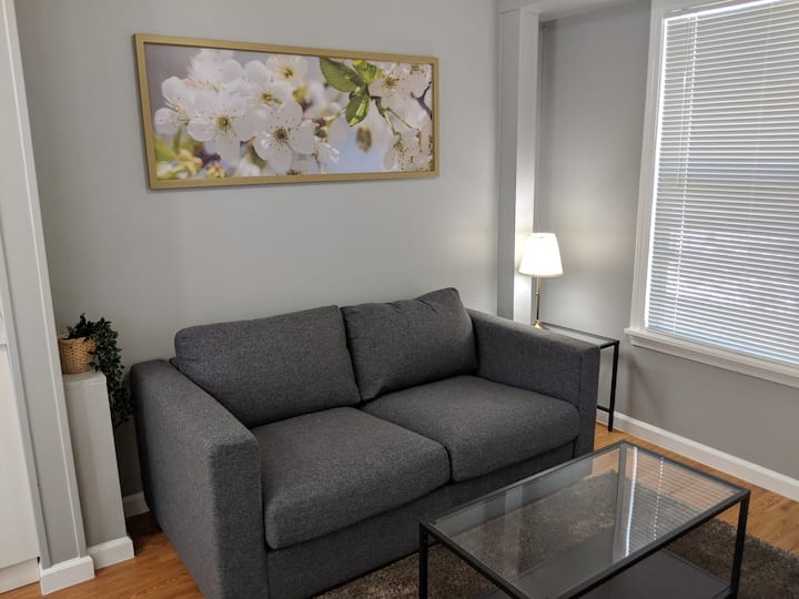 Newly Remodeled Hyde Park Studio - Austin, TX