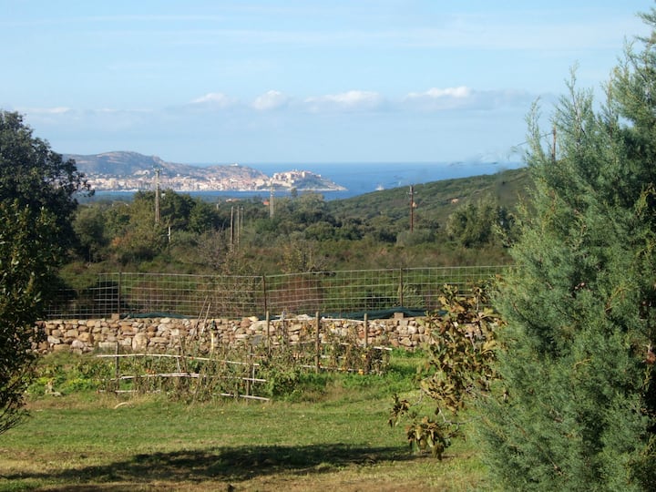 Casa Rosumarinu Domaine Casamyrta - Forêt de Bonifatu