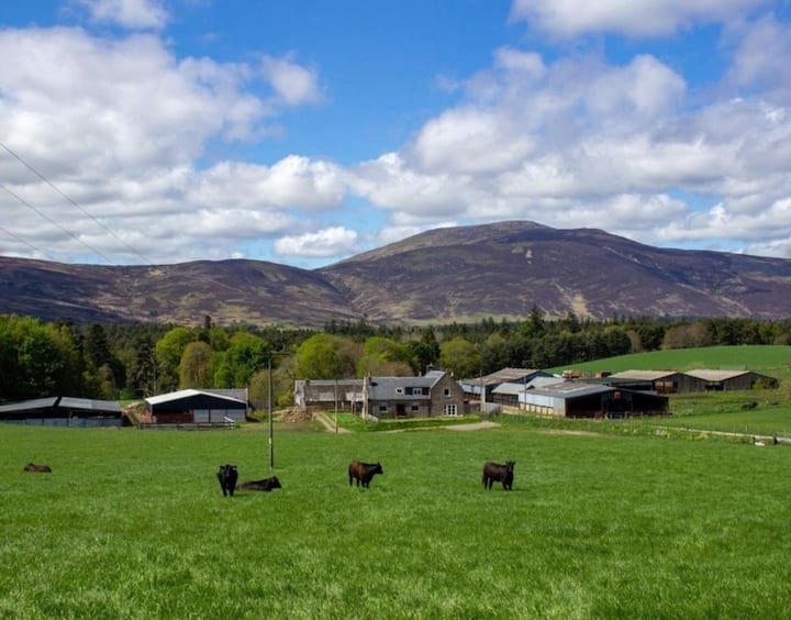 2 Bed Cottage - Working Farm With Mountain Views - Aboyne