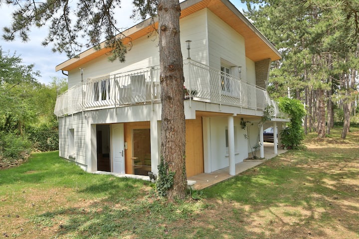 Le Cepe De Beaune En Bourgogne - Savigny-lès-Beaune