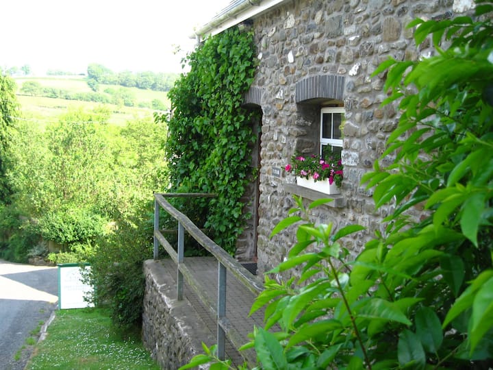 Y Stabl Cottage Llanerchindda - Llandovery