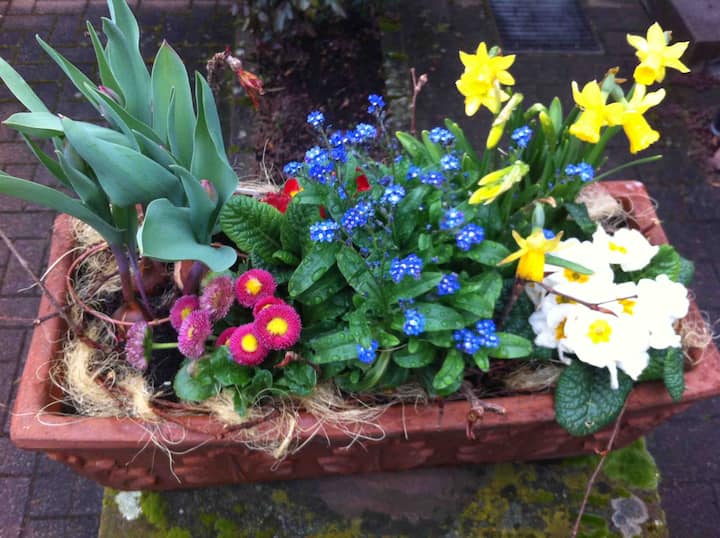 House With A View/haus Raiser - Gengenbach