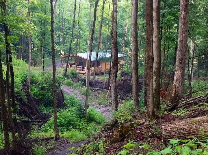 Cabin Creek Getaway (Letchworth) Waterfalls/forest - Hunt, NY