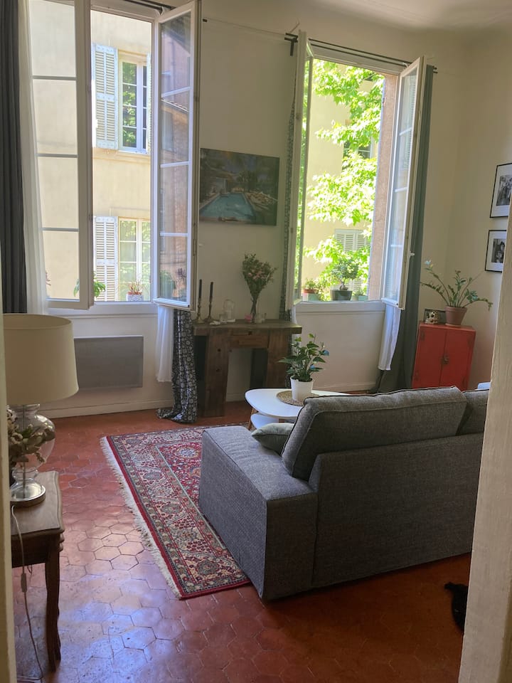 Magnifique Appartement Situé En Plein Centre-ville - Aix-en-Provence