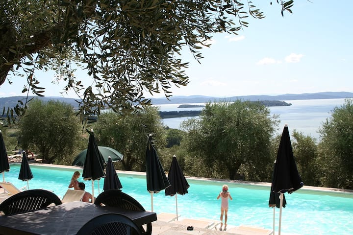 Olive Groove Apartment - Italy