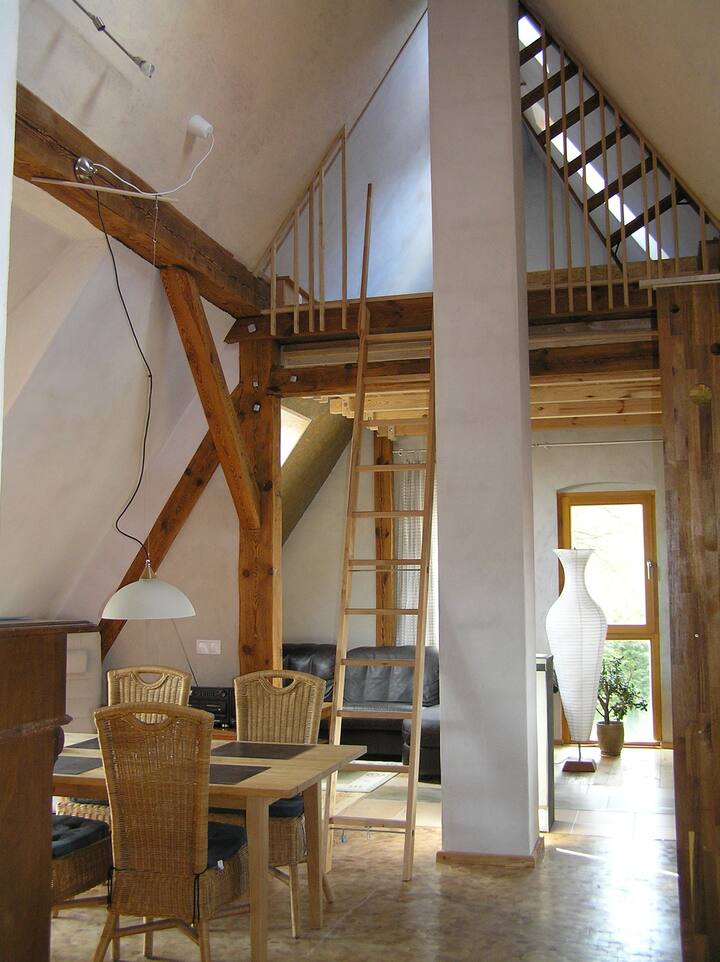 Sonnendurchflutetes Loft Im Grünen - Werneuchen