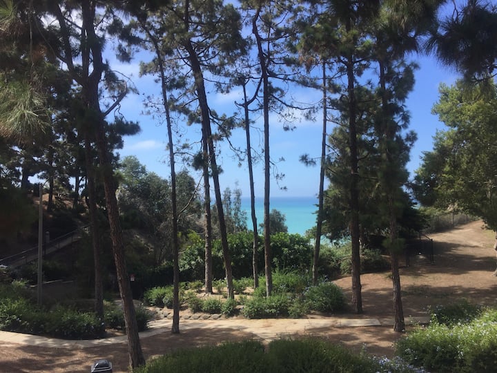 Beach Close Pool Home 30 Day Rental - San Clemente, CA