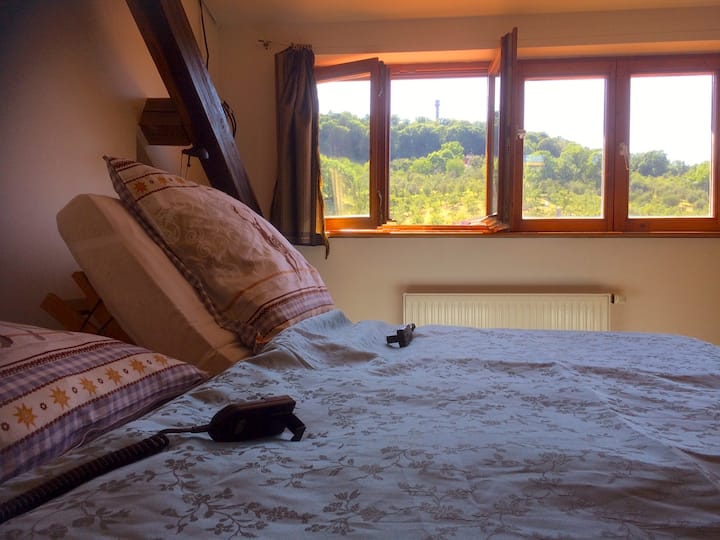 Attic Flat In The Center - View To Prague Castle - Praga