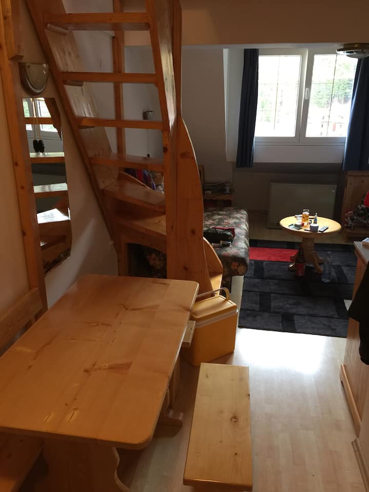 Lux Dupleks Bele Staze - Kopaonik