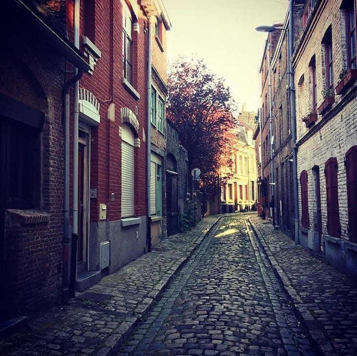 Jolie Maison Individuelle Vieux-lille - Lille