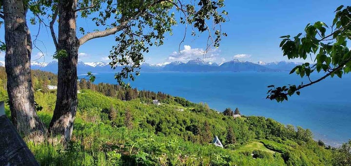 Kenai River Vacation Rentals & Homes - Kenai, AK | Airbnb