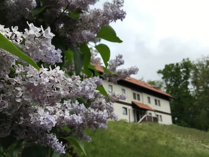 Fuchsamsee - Ein Magischer Ort Im Grünen! - Bad Saarow