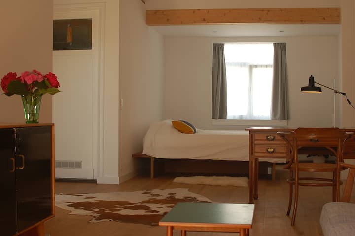 Spacious Top Floor - Gand