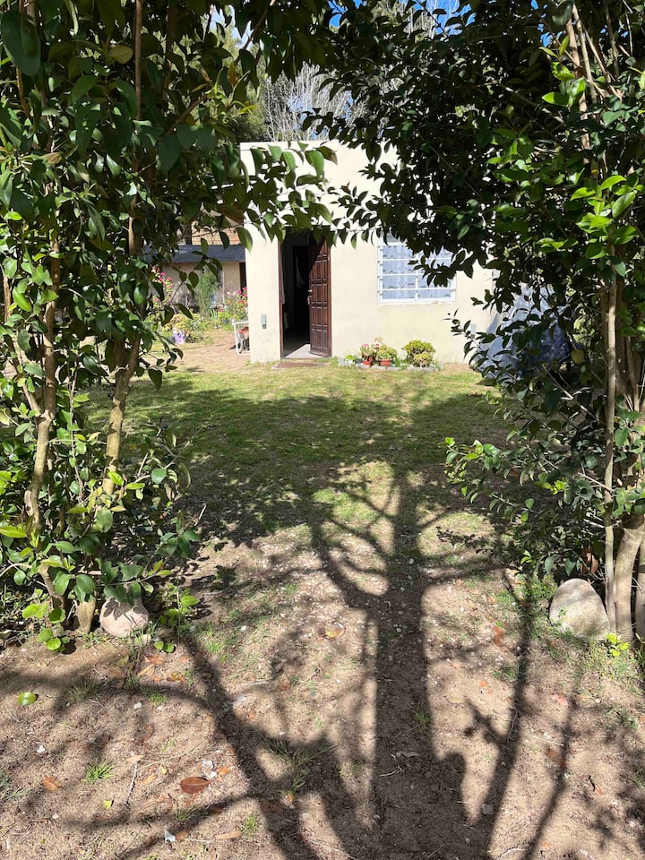 Casa Llena De Vida - Pinamar