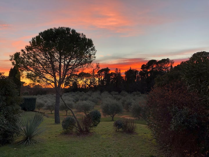 Les Lucioles N°4 - Uzès