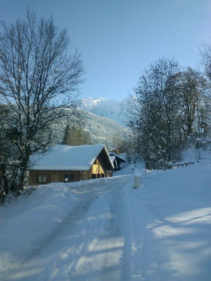 Chalet Familial Face Au Mont Blanc - Saint-Gervais-les-Bains