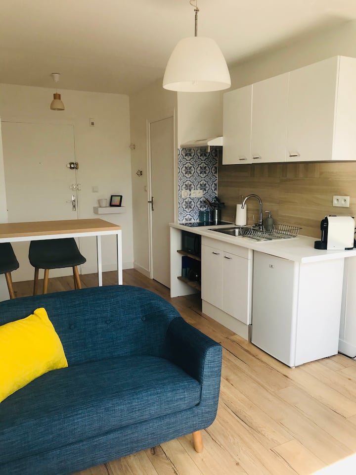 Joli Appartement  Centre Ville  Annecy - Seynod