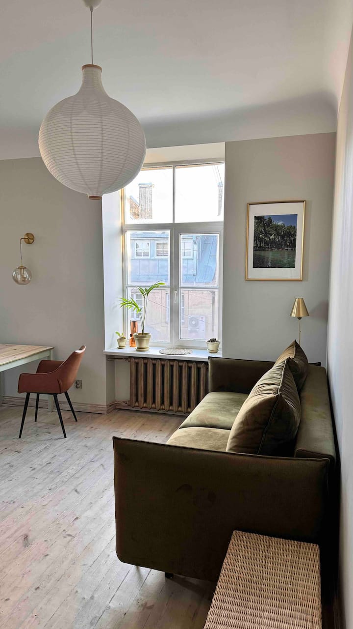 Cozy 50 M² Apartment • Center • 5th Floor • Bath - Riga