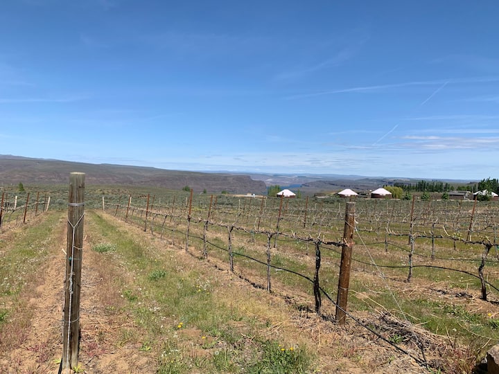 Cave B Ridge - View, Winery, Gorge Amphitheater - Houses for Rent in ...