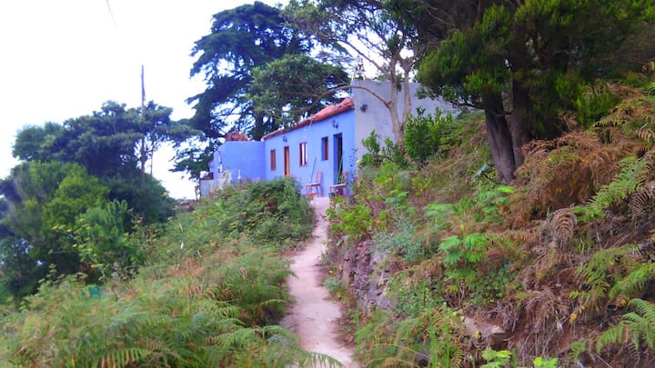 Laurisilva House At An Amazing Rural Area - Tenerife