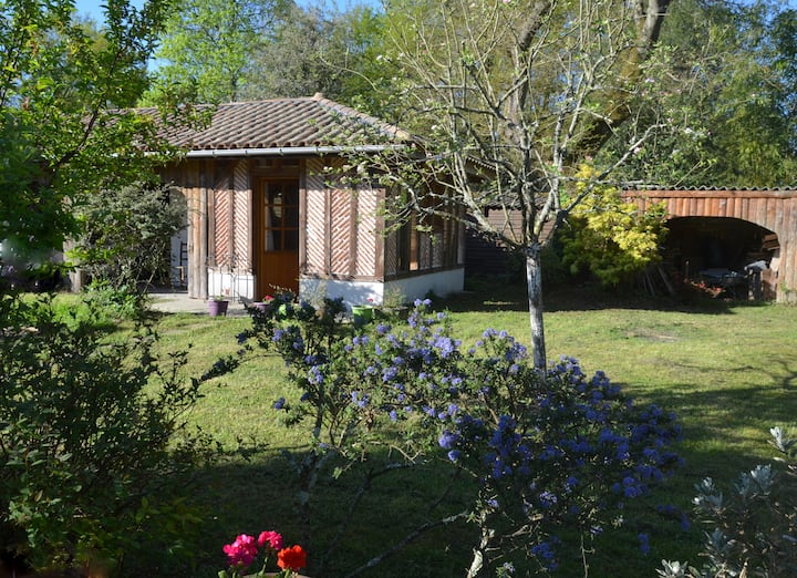 Petit Studio Indépendant - Cestas