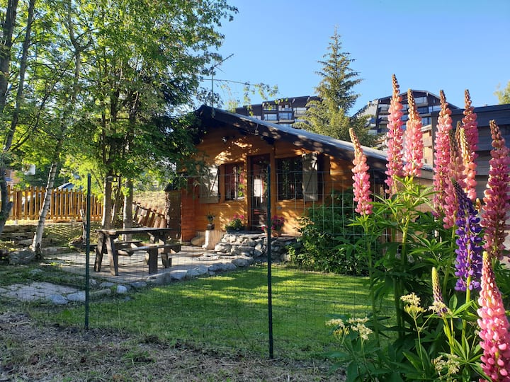 P' Tit Chalet Cosy , Jardin , Centre Station - Les Deux Alpes