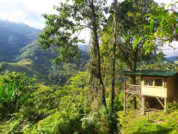 Casa Del ÁRbol, Descanso Con Hermosa Vista - Génova