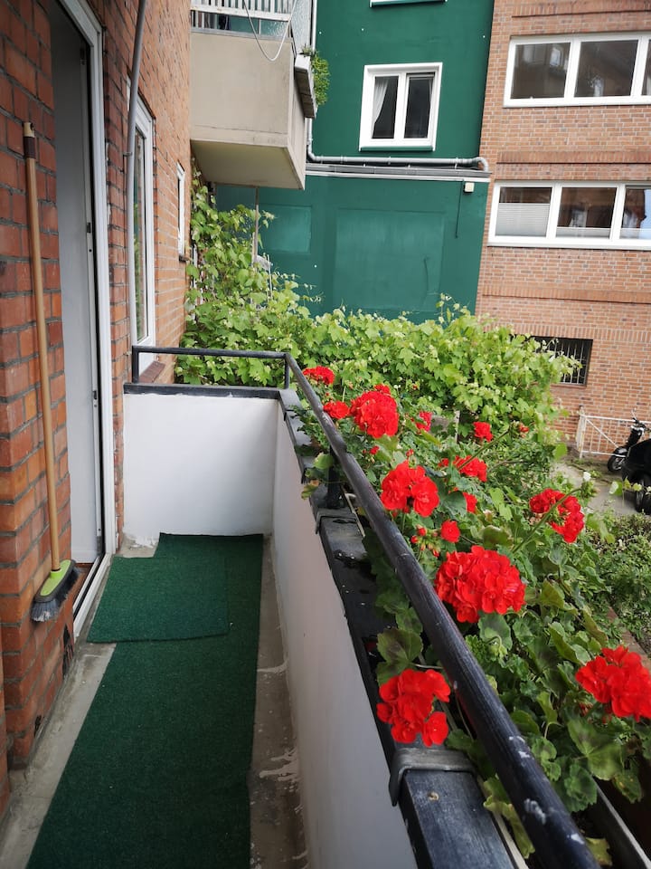 Helle 2 Zimmer Wohnung Am Kieler Innenstadt 52 M2 - Kiel