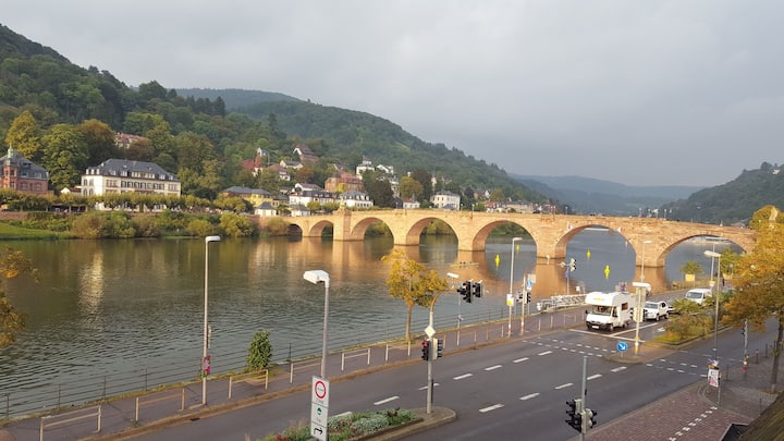 Emma's Old Bridge View - Heidelberg