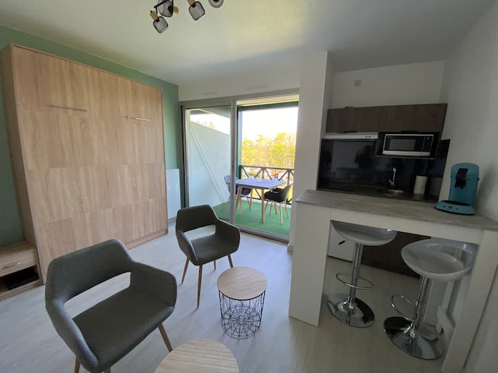 Joli Studio Plein Centre Cambo-les-bains - Espelette
