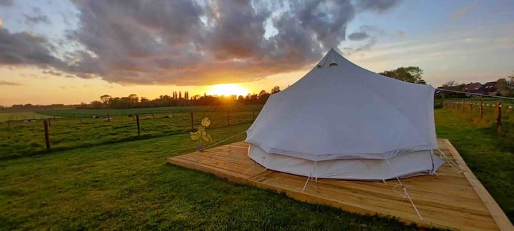 Glamping In De Natuur - 4personen - Zedelgem