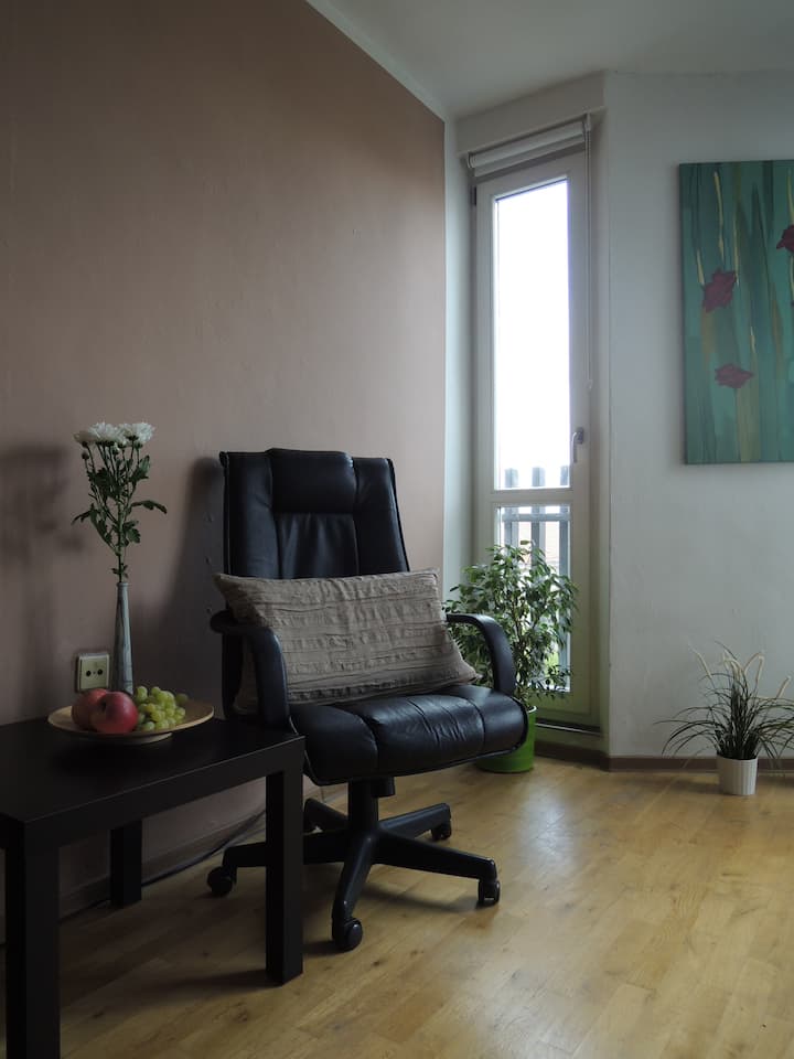 Apartment In The Very Centre Of Ostrava - Tschechien