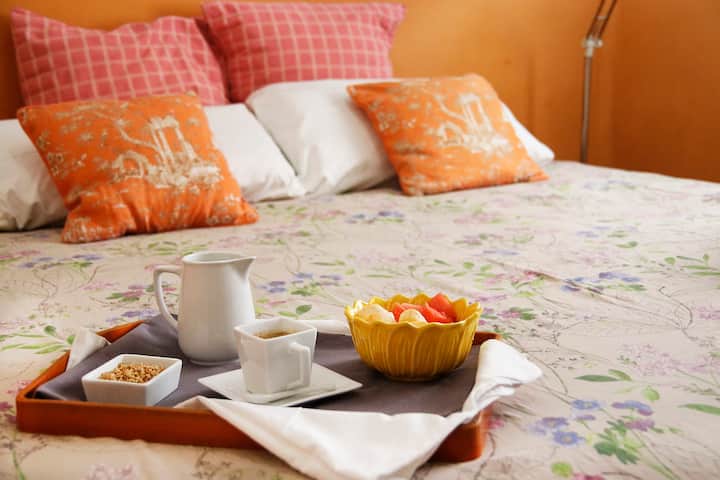Center-  Bedroom And Terrace / Ocre - Séville